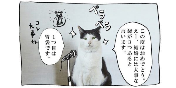 【猫写真4コママンガ】「スピーチ上手」パンチョとガバチョ ＃96（ananweb）