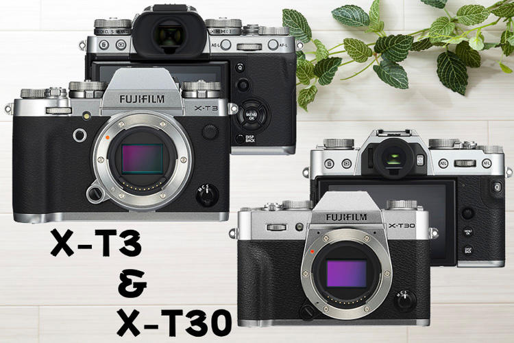 本命はどっち！？ 「X-T3」と「X-T30」自分が持つべき至高の一台は？（テレ東プラス）