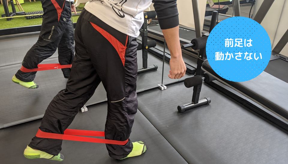 「開放運動連鎖（OKC）」と「閉鎖運動連鎖（CKC）」とは？筋トレ用語を解説（MELOS -メロス-）