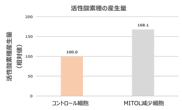 世界初、細胞の若返りの鍵「MITOL(マイトル)」の肌での役割を解明（アットプレス）