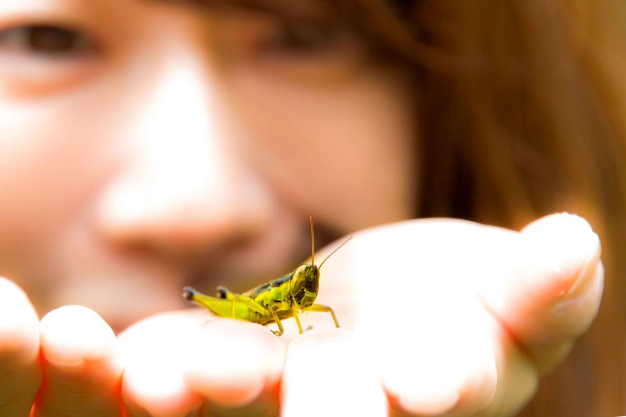 【東京・奥多摩ツーリング／第十三回 あきる野の豊かな自然に癒されて】 村上菜つみのバイクでカフェめぐり（MotorFan[モーターファン]）